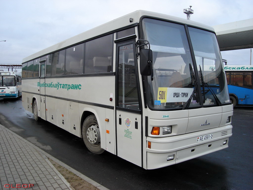 Orsha, MAZ-152.062 # 20648 — Photo — BUSPHOTO