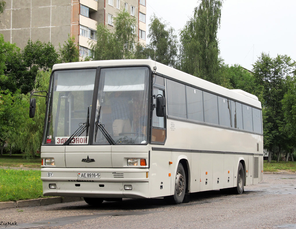 Molodechno, MAZ-152.062 # АЕ 8916-5 — Photo — BUSPHOTO