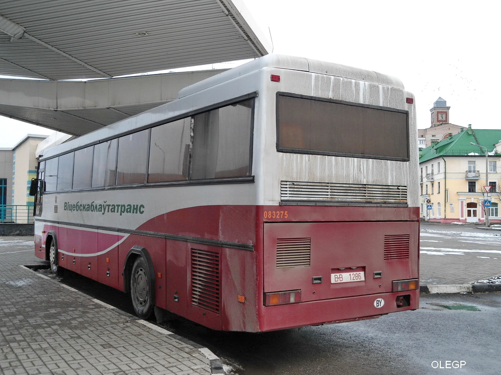 Novopolock, MAZ-152.060 # 083275 — Photo — BUSPHOTO
