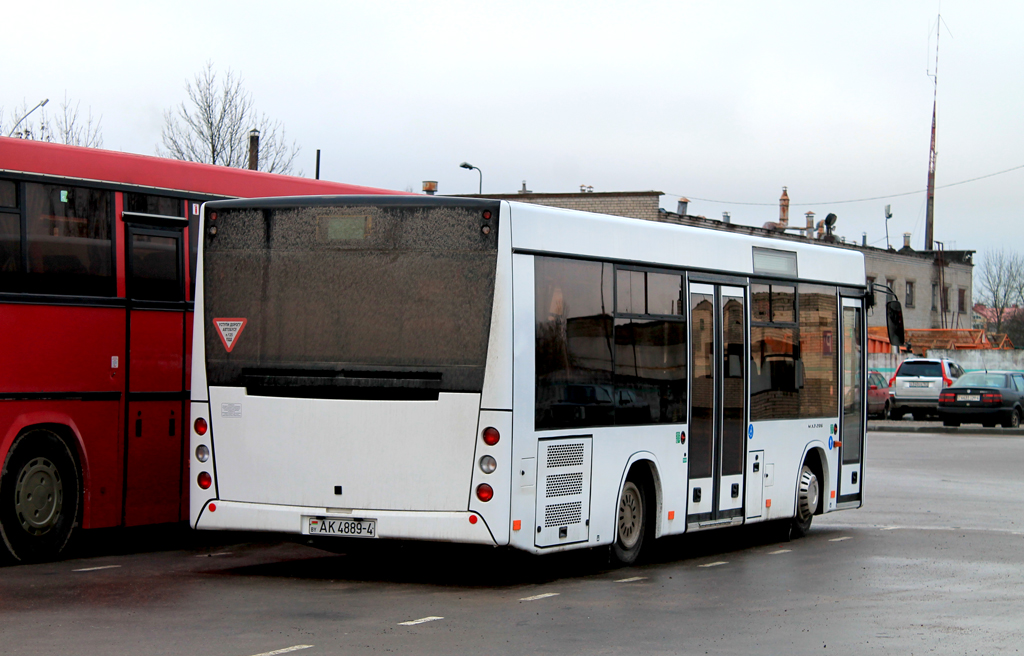 Ostrovec, MAZ-206.063 # 023736 — Photo — BUSPHOTO