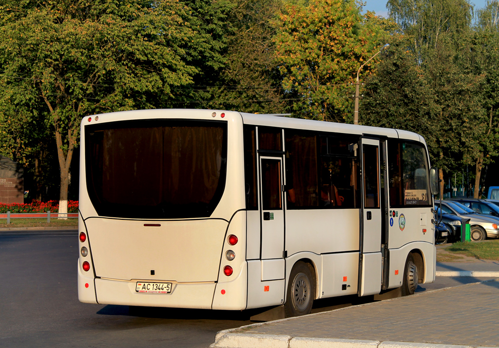 Zhodino, MAZ-241.030 # 11826 — Photo — BUSPHOTO