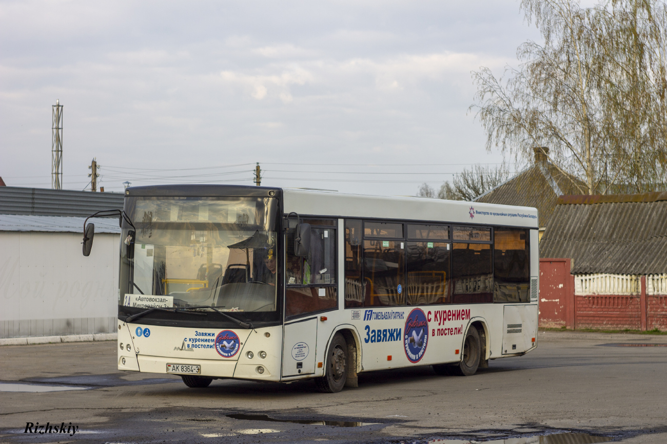 Rogochov, MAZ-206.085 # 033146 — Photo — BUSPHOTO