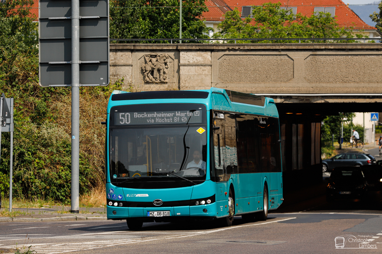 Mainz, BYD K9UD # 2818 — Photo — BUSPHOTO