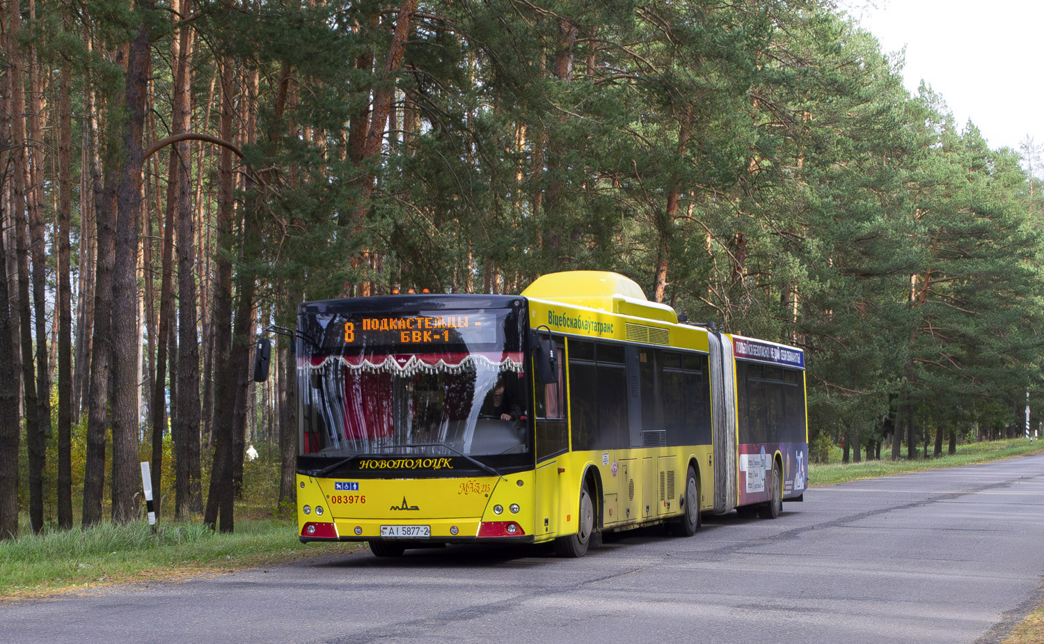 Novopolock, MAZ-215.069 # 083976 — Photo — BUSPHOTO