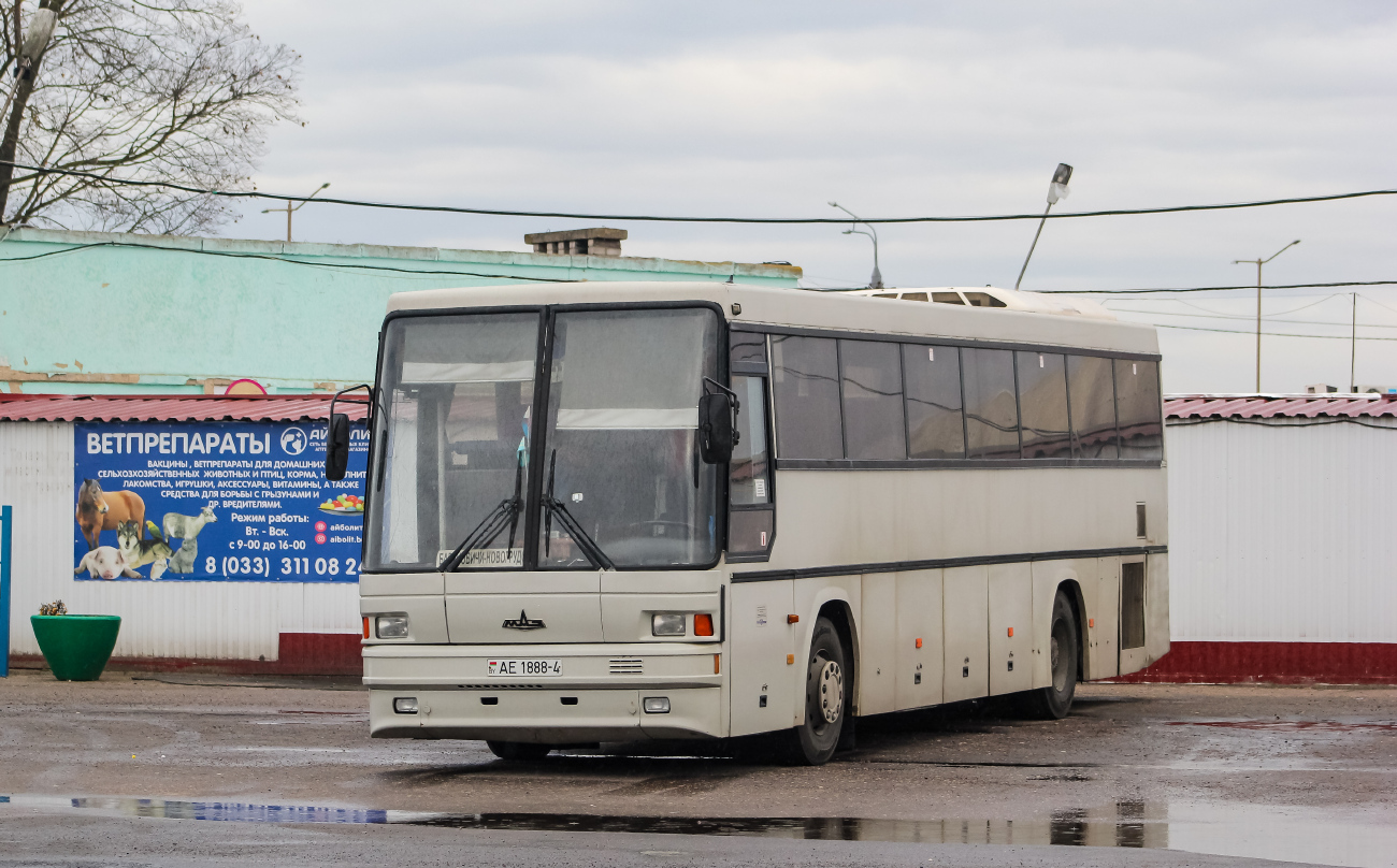 Novogrudok, MAZ-152.А62 # 010189 — Photo — BUSPHOTO