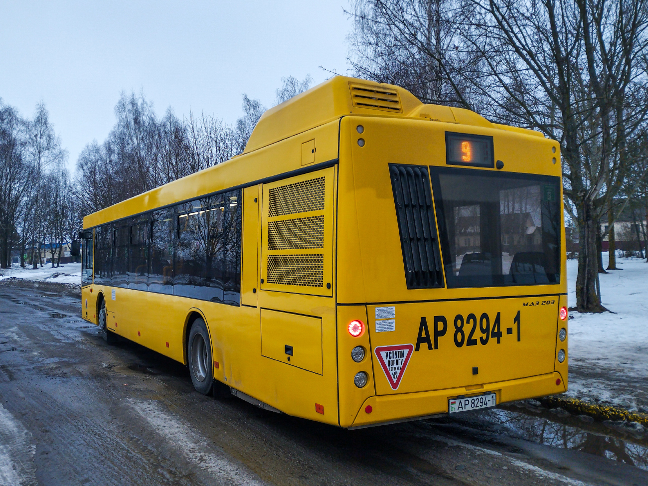 Pinsk, MAZ-203.047 # 41920 — Photo — BUSPHOTO