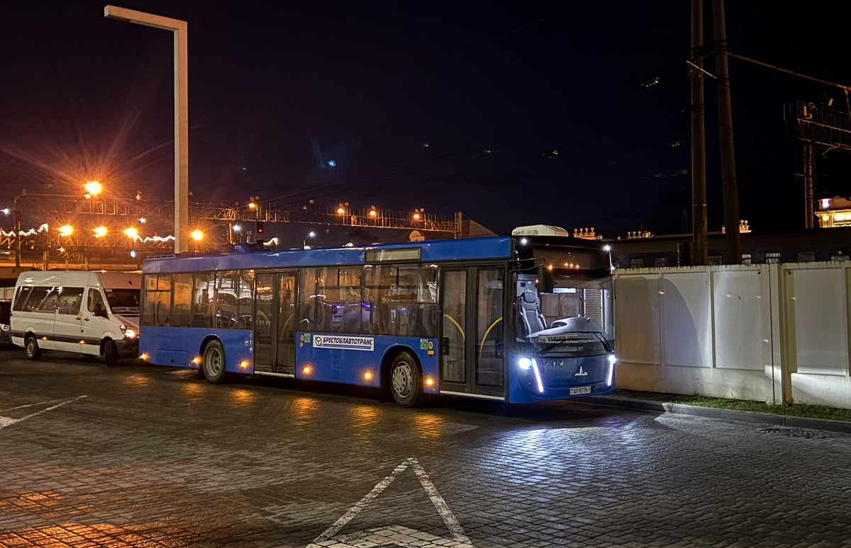 Kamianets, MAZ-203.147 # 233 — Photo — BUSPHOTO