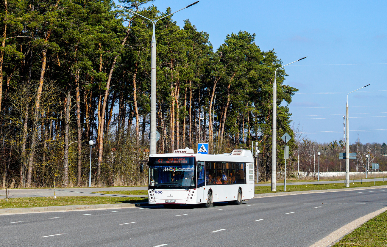 Grodna, MAZ-203.047 # 044211 — Photo — BUSPHOTO