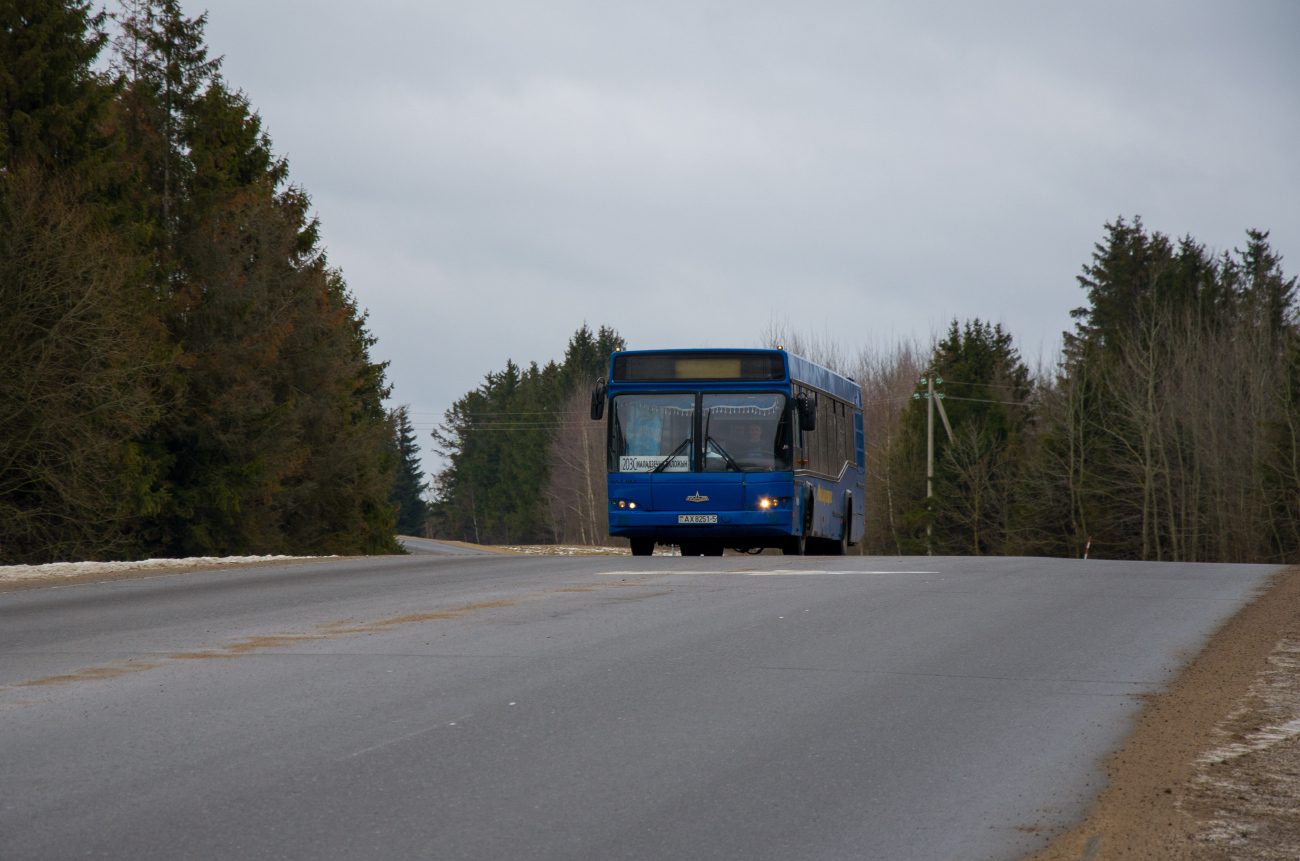 Molodechno, MAZ-103.562 # 23473 — Photo — BUSPHOTO