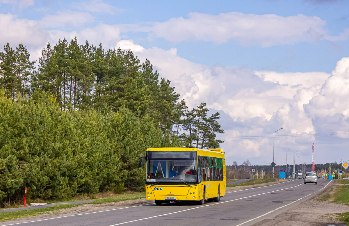 Pinsk, MAZ-203.016 # 45322 — Photo — BUSPHOTO