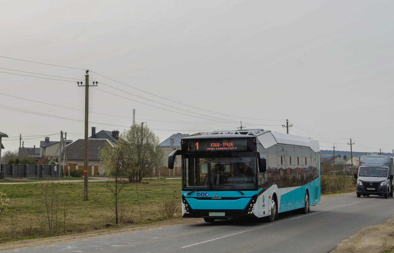 Zhodino, MAZ-303.E22 # АА Е012-5 — Photo — BUSPHOTO