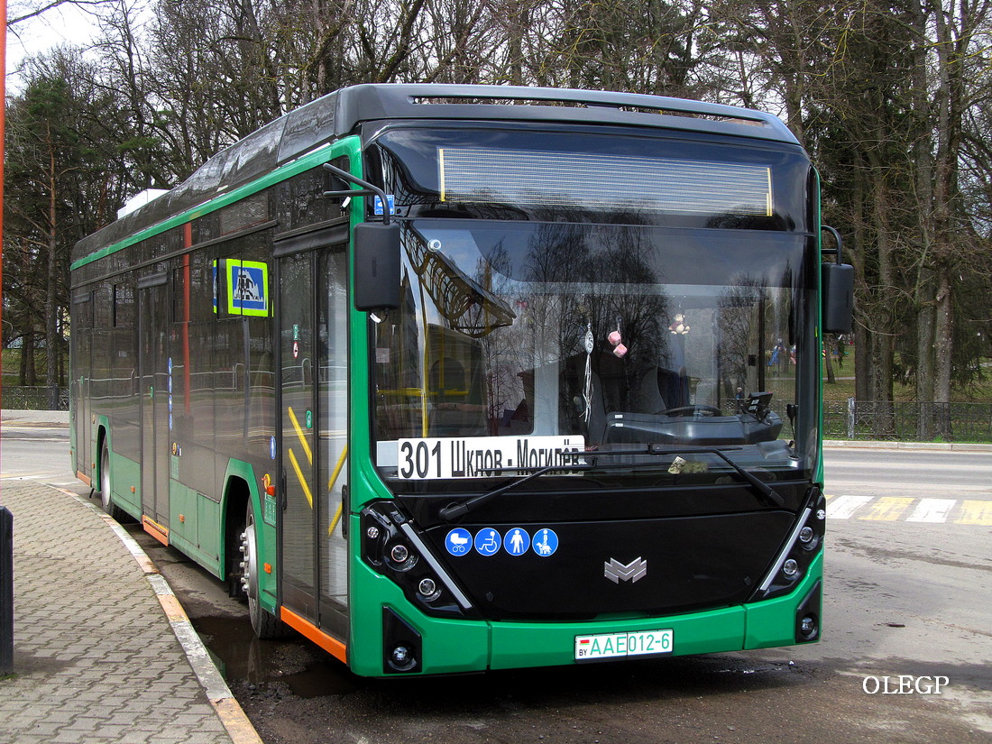 Shklov, BKM E321 "Olgerd" # AA E012-6 — Photo — BUSPHOTO