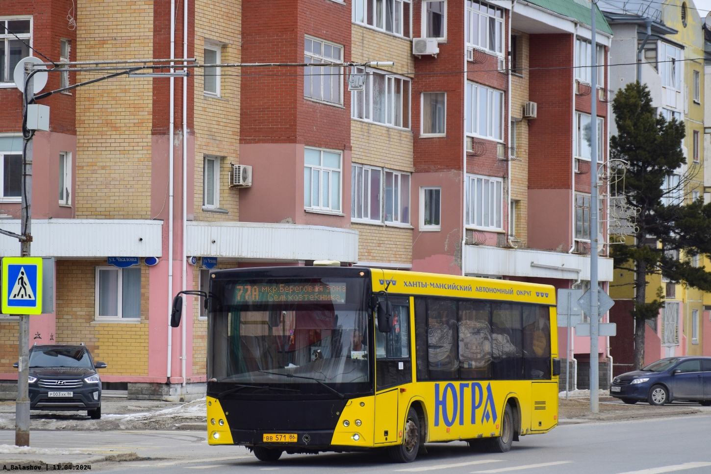 Khanty-Mansiysk, MAZ-206.085 # ВВ 571 86 — Photo — BUSPHOTO