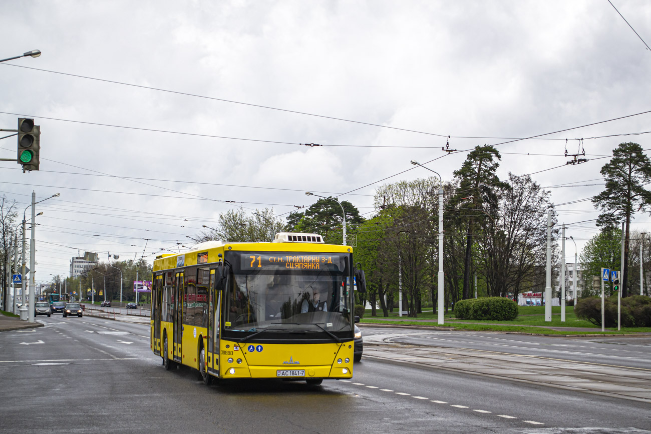 Minsk, MAZ-203.069 # 038880 — Photo — BUSPHOTO