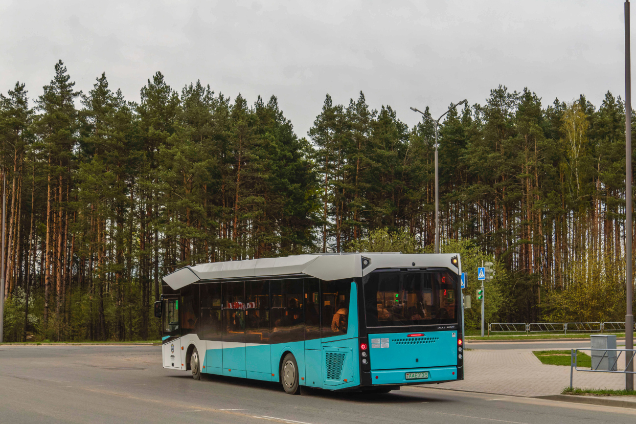 Zhodino, MAZ-303.E22 # 12416 — Photo — BUSPHOTO