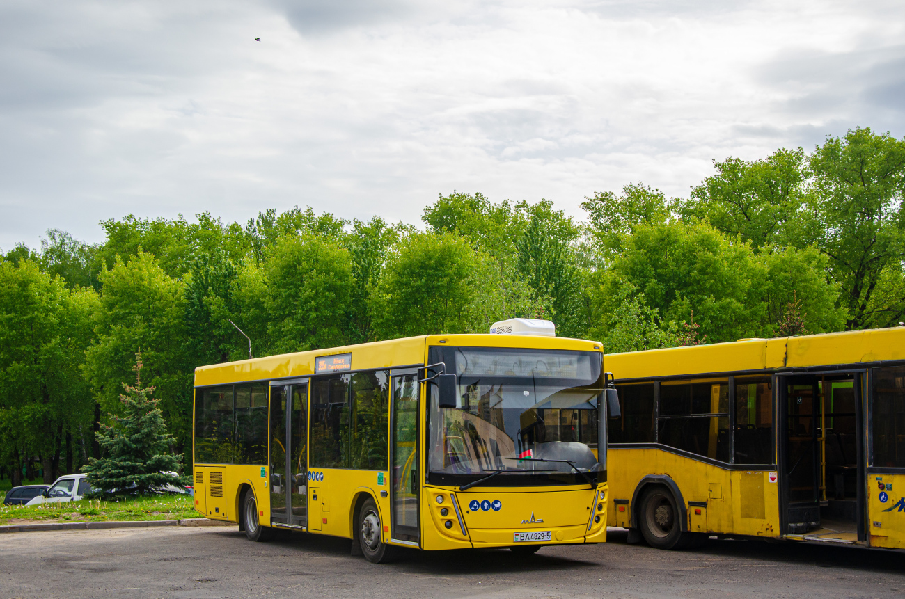 Zhodino, MAZ-206.047 # 12397 — Photo — BUSPHOTO