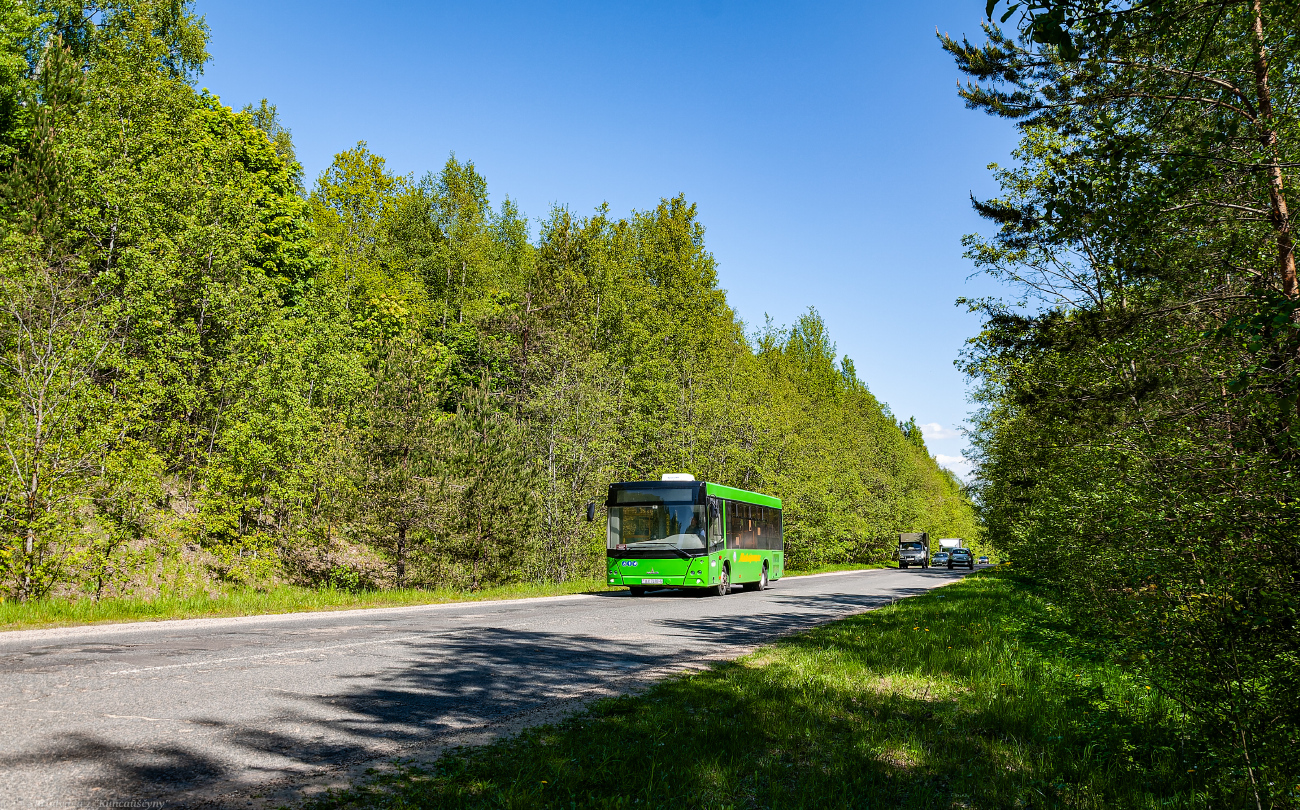 Molodechno, MAZ-206.047 # 23504 — Photo — BUSPHOTO