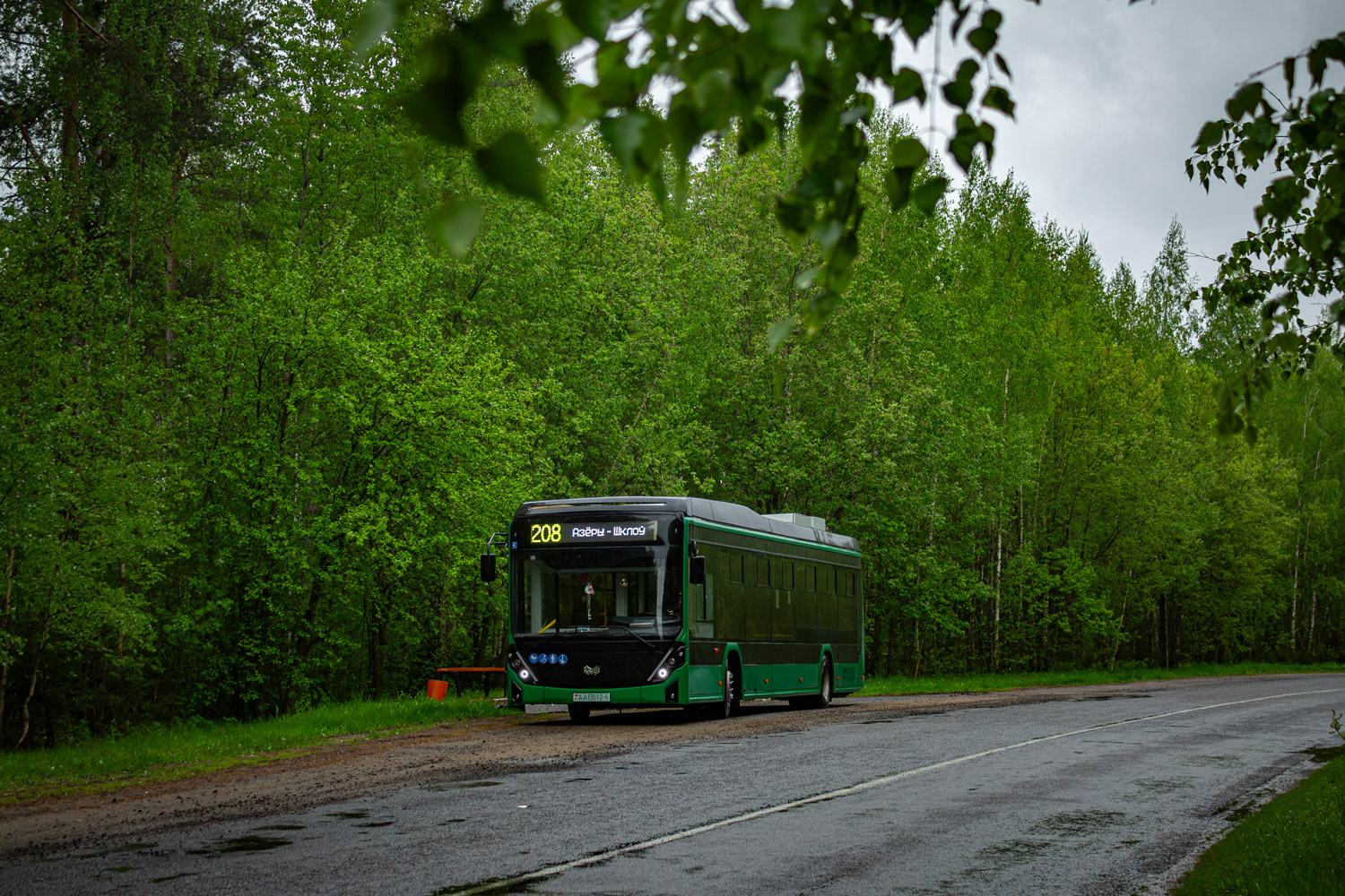 Shklov, BKM E321 "Olgerd" # AA E012-6 — Photo — BUSPHOTO