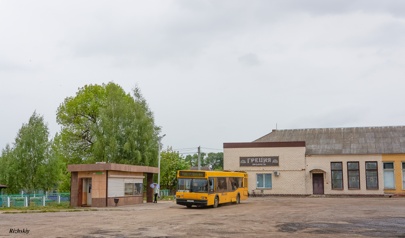 Zhlobin, MAZ-103.065 # 20443 — Photo — BUSPHOTO