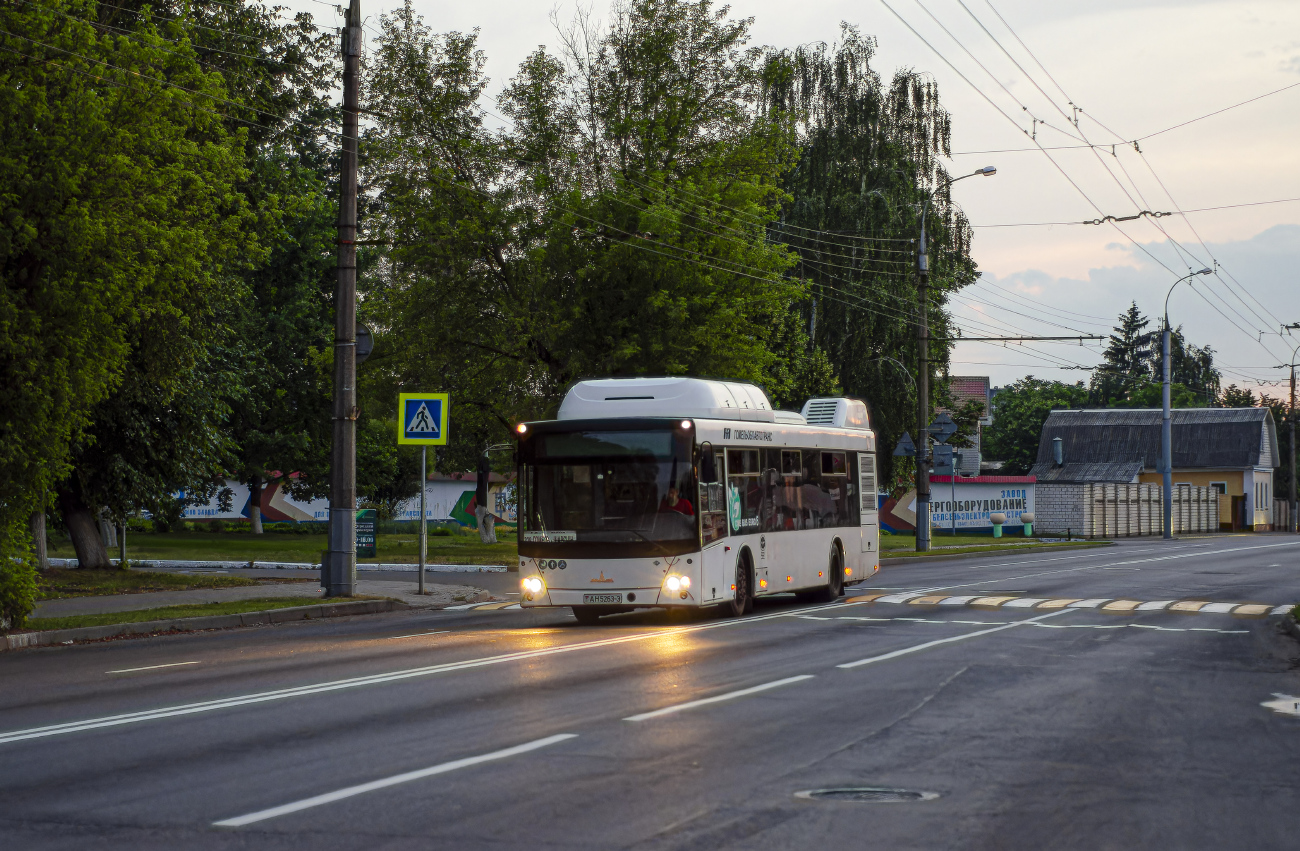 Gomel, MAZ-203.988 # 037231 — Photo — BUSPHOTO
