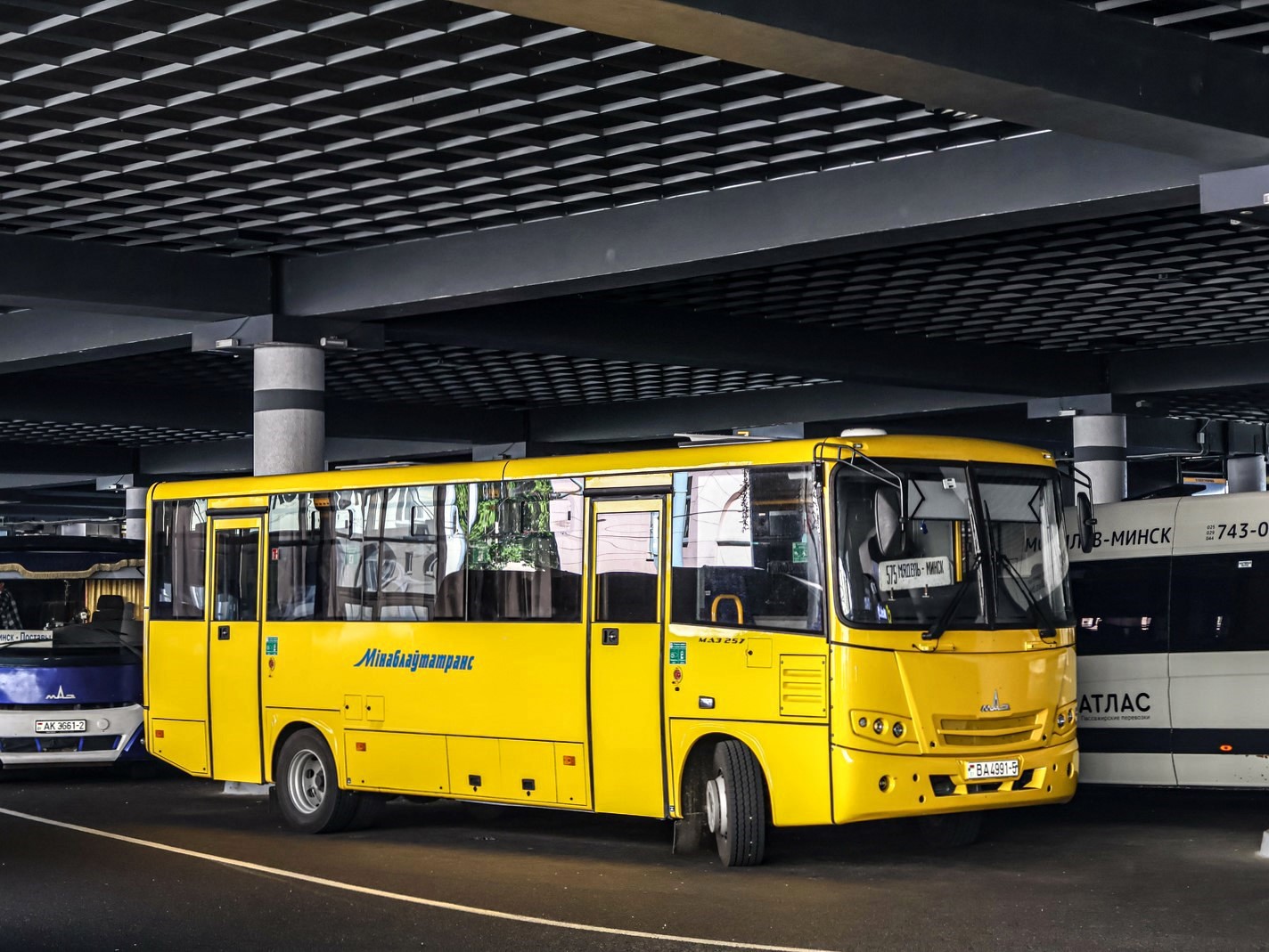 Miadel, MAZ-257.040 # 72111 — Photo — BUSPHOTO