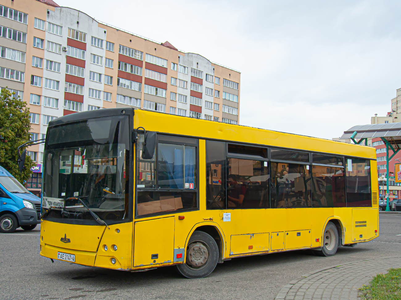 Grodna, MAZ-226.060 # 020125 — Photo — BUSPHOTO