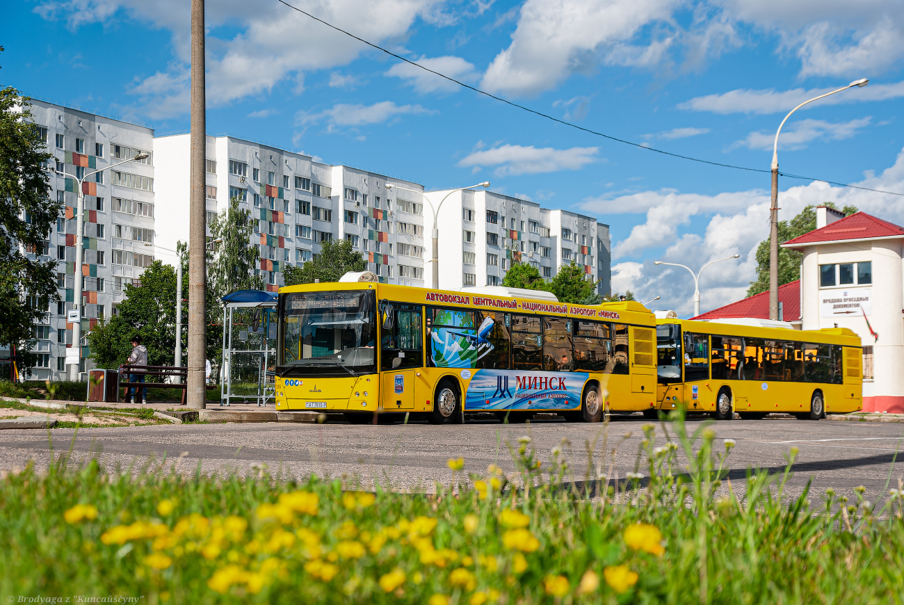 Minsk, MAZ-203.115 # 015016 — Photo — BUSPHOTO