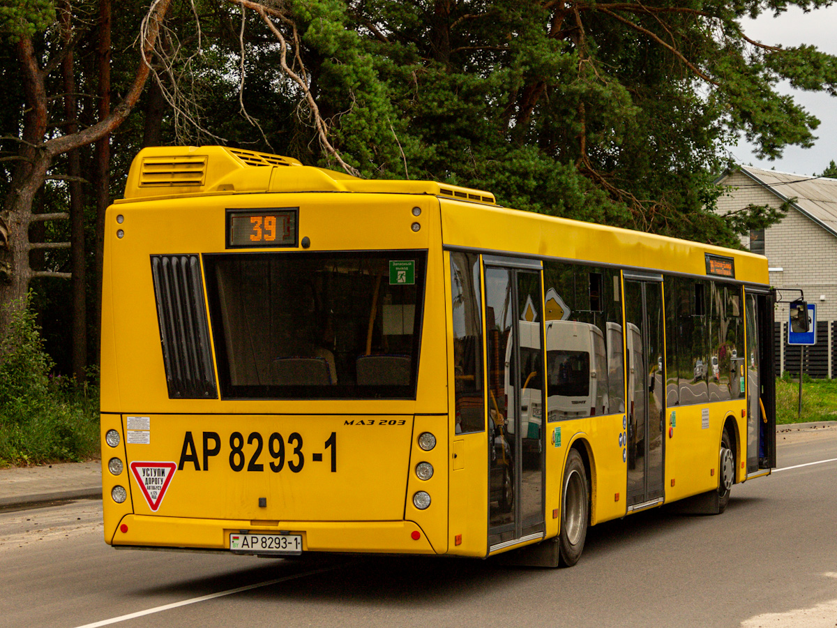 Pinsk, МАЗ-203.047 # 41919 — Photo — BUSPHOTO