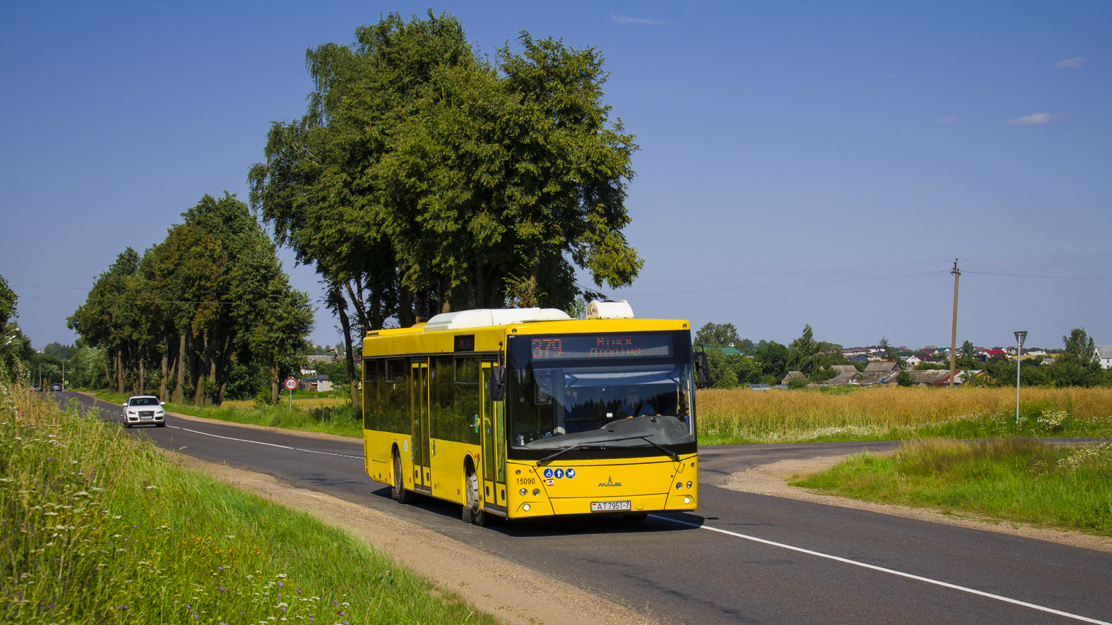 Minsk, MAZ-203.115 # 015090 — Photo — BUSPHOTO