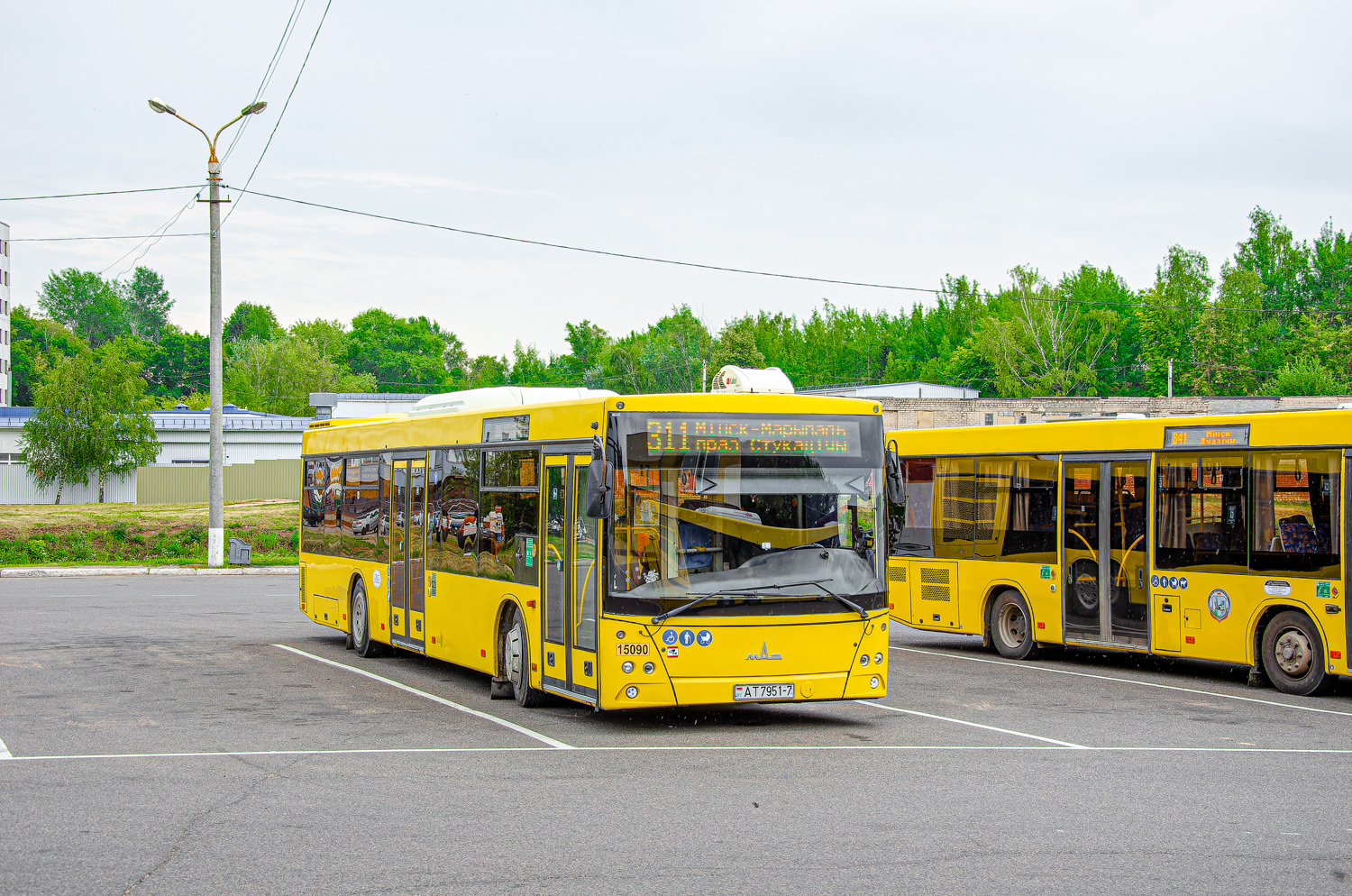 Minsk, MAZ-203.115 # 015090 — Photo — BUSPHOTO