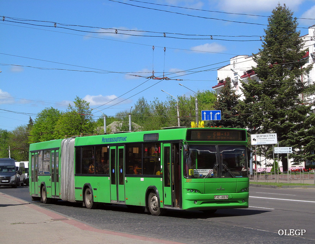 Mogilev, MAZ-105.465 # 2377 — Photo — BUSPHOTO