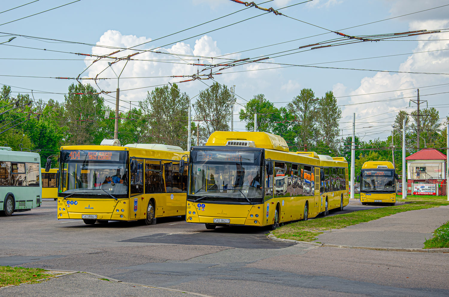 Minsk, MAZ-203.C65 # 044687 — Photo — BUSPHOTO