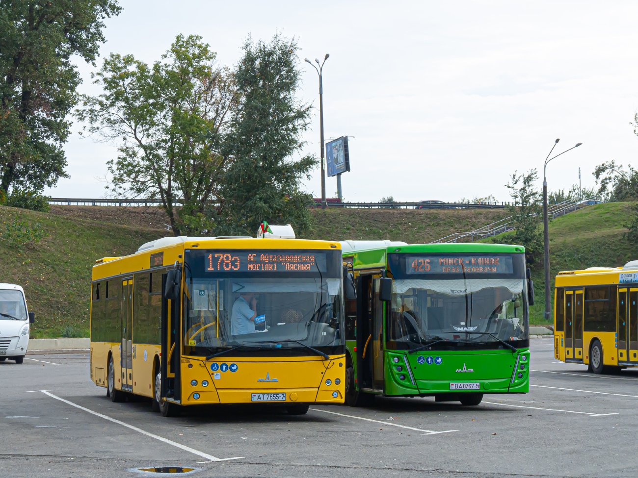 Minsk, MAZ-203.115 # 043206 — Photo — BUSPHOTO