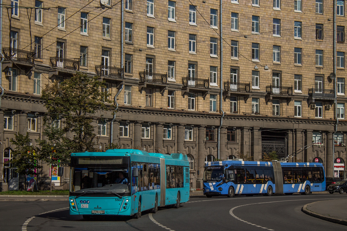 Saint Petersburg, MAZ-216.047 # 5503 — Photo — BUSPHOTO