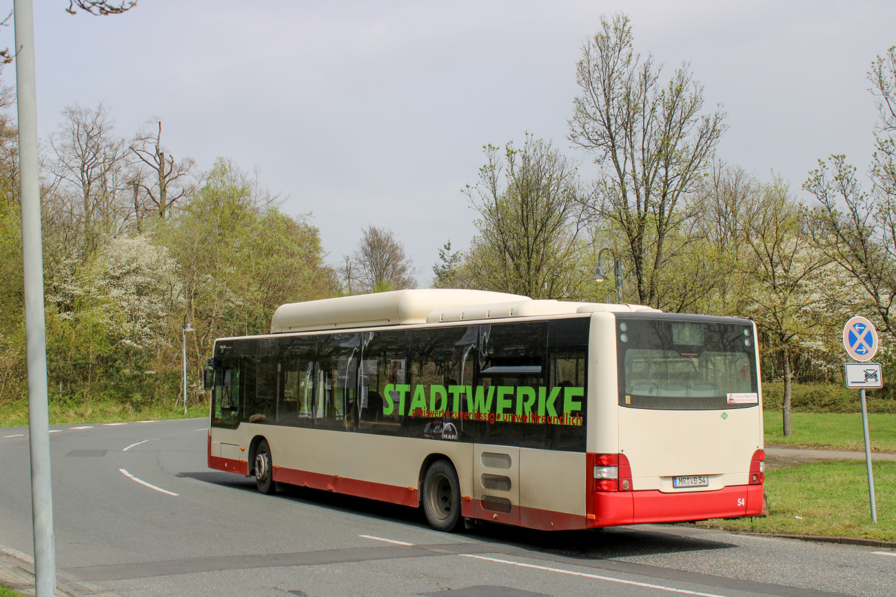 Marburg, MAN A21 Lion's City NL313 CNG # 54 — Photo — BUSPHOTO