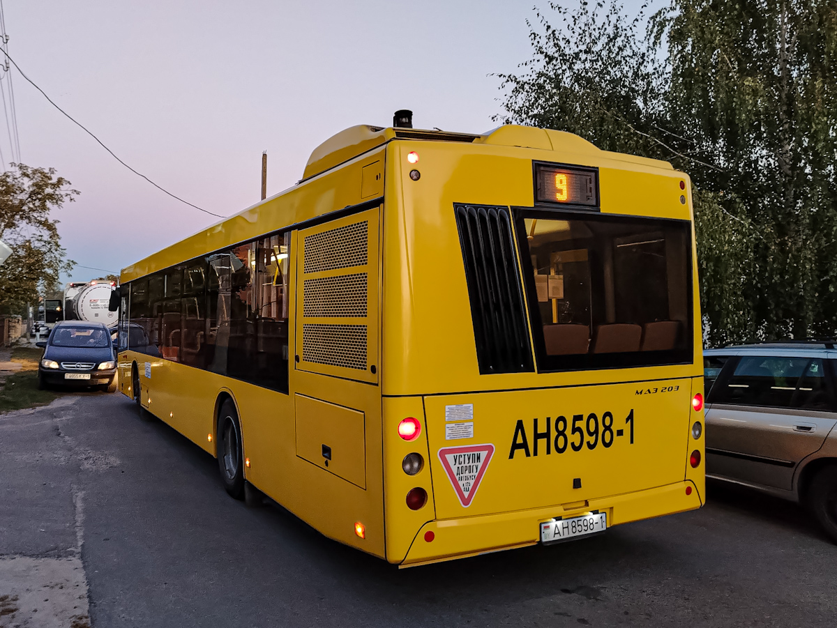 Pinsk, MAZ-203.016 # 45322 — Photo — BUSPHOTO