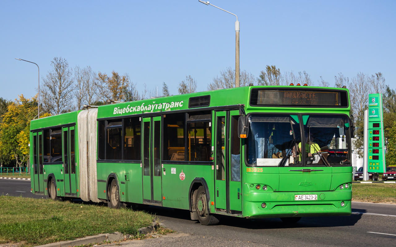 Novopolock, MAZ-105.465 # 083925 — Photo — BUSPHOTO