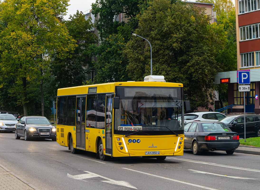 Svisloch, MAZ-206.047 # АН 2850-4 — Photo — BUSPHOTO