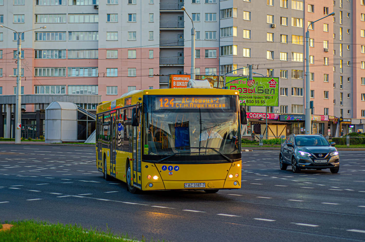Minsk, MAZ-203.069 # 041301 — Photo — BUSPHOTO