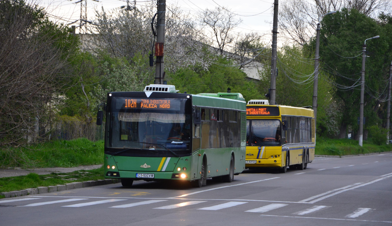 Constanța, MAZ-203.076 # 009 — Photo — BUSPHOTO