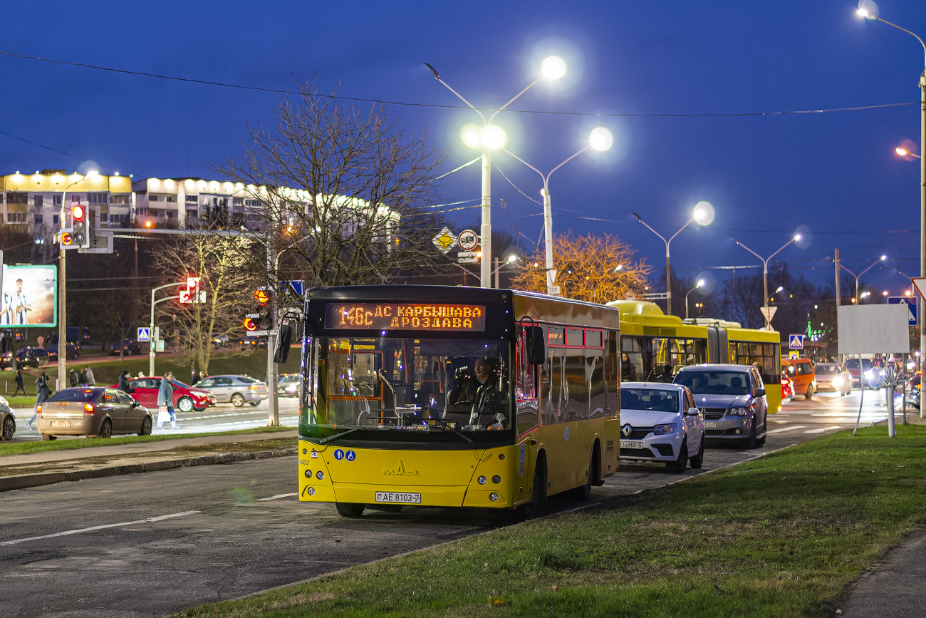 Minsk, MAZ-206.060 # 045063 — Photo — BUSPHOTO