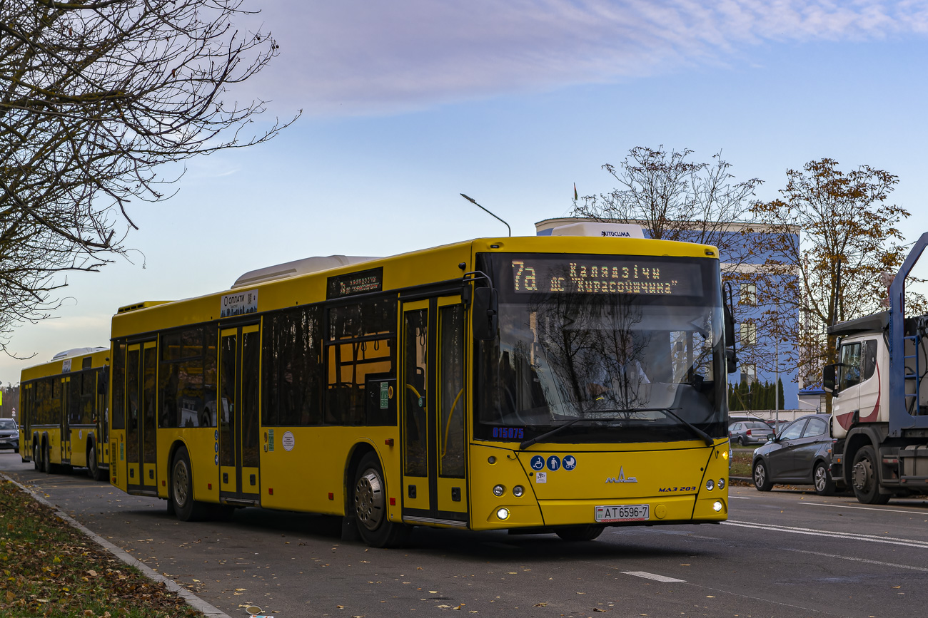 Minsk, MAZ-203.015 # 015075 — Photo — BUSPHOTO