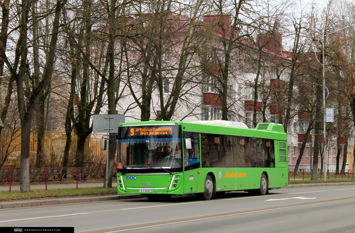 Molodechno, MAZ-203.047 # 23509 — Photo — BUSPHOTO