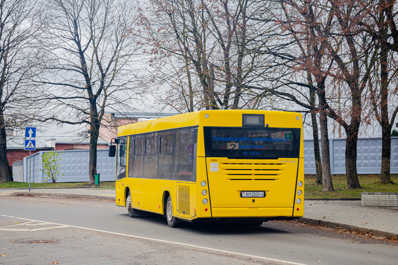 Novogrudok, MAZ-206.047 # 020364 — Photo — BUSPHOTO
