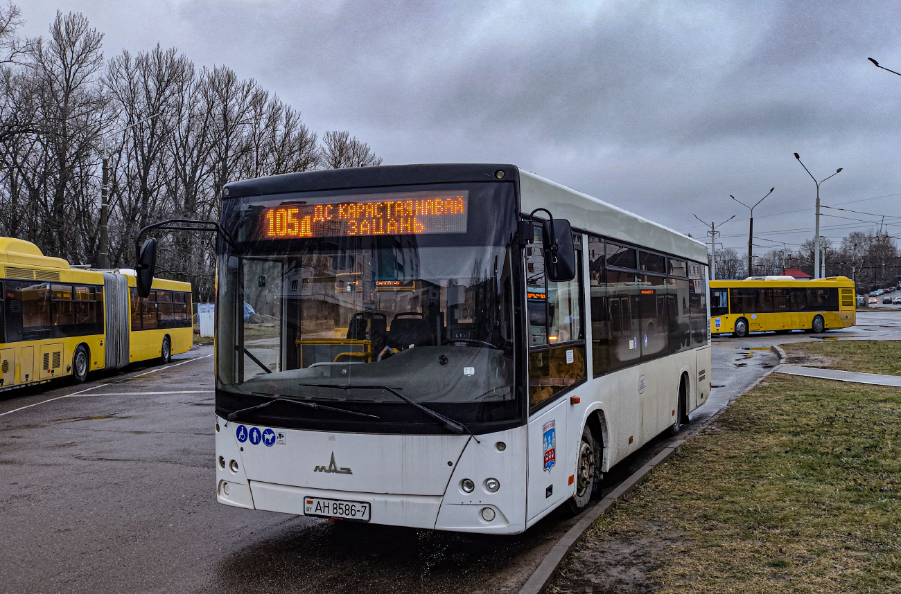 Minsk, MAZ-206.068 # 045070 — Photo — BUSPHOTO