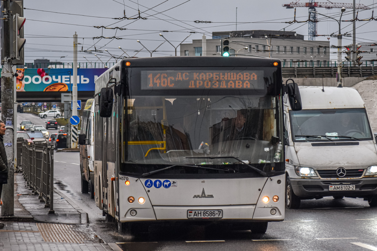 Minsk, MAZ-206.068 # 045070 — Photo — BUSPHOTO