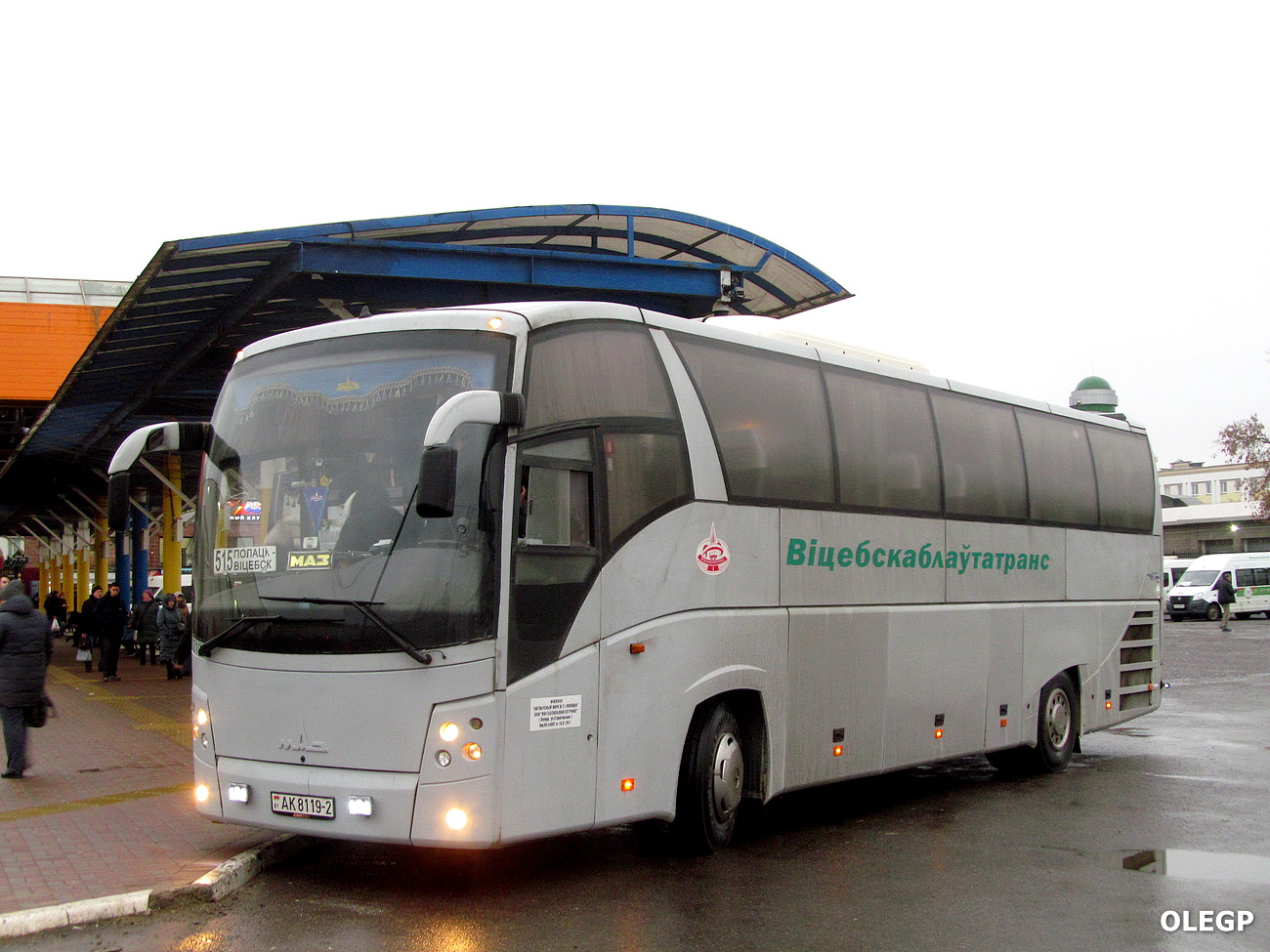 Polotsk, MAZ-251.062 # 010219 — Photo — BUSPHOTO