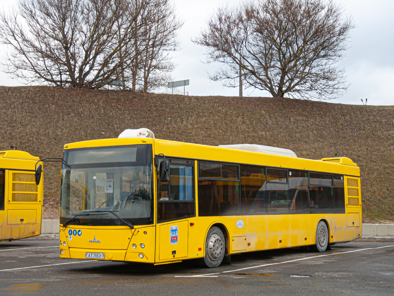 Minsk, MAZ-203.115 # 043257 — Photo — BUSPHOTO