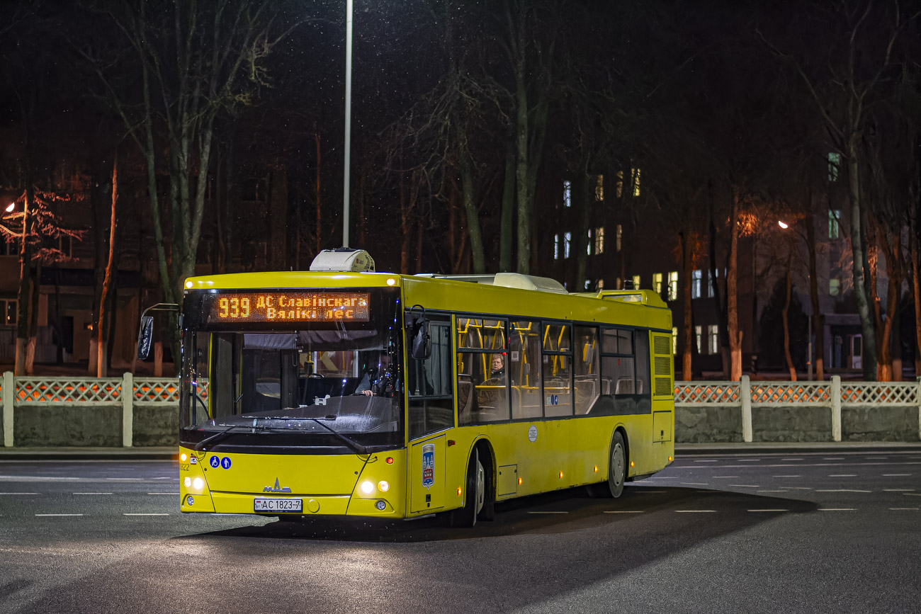 Minsk, MAZ-203.069 # 038822 — Photo — BUSPHOTO