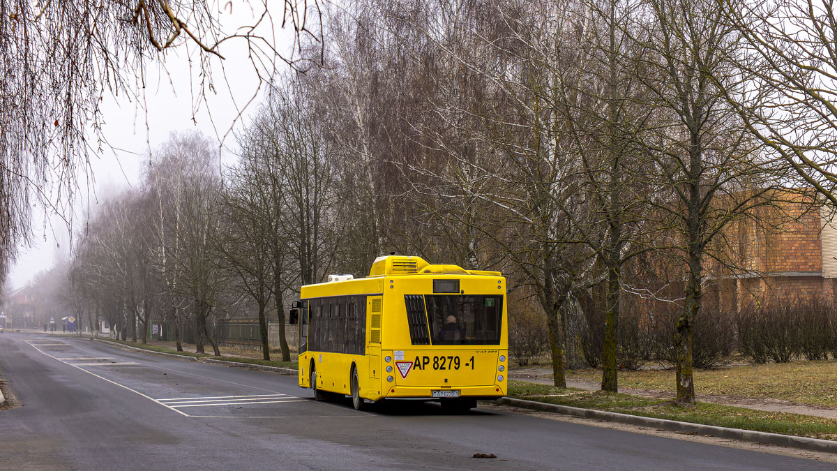 Pinsk, MAZ-203.047 # 41914 — Photo — BUSPHOTO